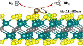 Unveiling the electrochemical nitrogen reduction reaction mechanism in ...