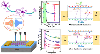 Defect-engineered 2D Bi2Se3-based broadband optoelectronic synapses ...