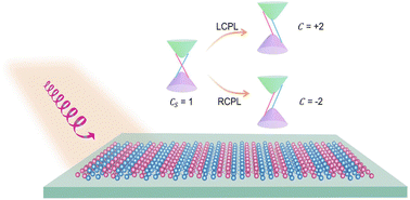 Quantum anomalous Hall effect in a nonmagnetic bismuth monolayer with a high Chern number ...