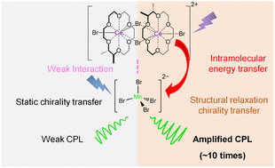 Structural relaxation chirality transfer enhanced circularly polarized ...