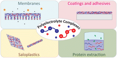 Polyelectrolyte complex-based materials for separations: progress ...