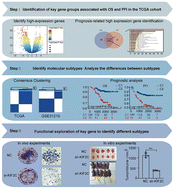 KIF2C as a potential therapeutic target: insights from lung ...