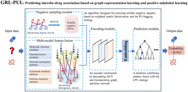GRL–PUL: predicting microbe–drug association based on graph representation learning and positive ...