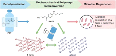 Polymorphism control of polyethylene terephthalate (PET) degradation ...