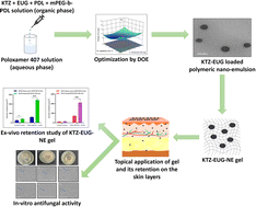 A poly-δ-decalactone (PDL) based nanoemulgel for topical delivery of ...