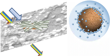 Sprayed water-based lignin colloidal nanoparticle-cellulose nanofibril ...