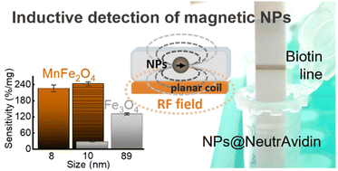 Mn-ferrite nanoparticles as promising magnetic tags for radiofrequency ...