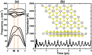 A systematic study of TMOn (TM = V, Cr, Mn, and Fe; n = 3 and 6 ...