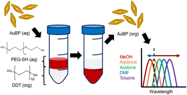 Scalable and adaptable two-ligand co-solvent transfer methodology for ...