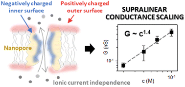Supralinear scaling behavior of ionic transport in membrane ...