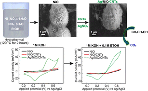 Silver decorated nickel oxide nanoflake/carbon nanotube nanocomposite ...