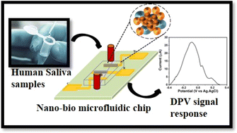 An electrochemical immunosensor based on a nano-ceria integrated ...
