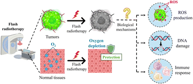 FLASH radiotherapy: mechanisms, nanotherapeutic strategy and future ...