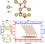 Electronic and magnetic properties of the HfO2 monolayer engineered by ...