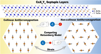 CoX2Y4: a family of two-dimensional magnets with versatile magnetic ...