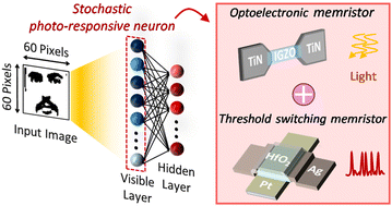 A stochastic photo-responsive memristive neuron for an in-sensor visual ...