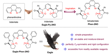 Phen-2NO, a new C2-symmetric rigid-featured tetradentate ligand, and ...