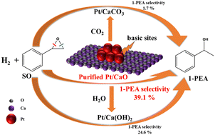 Purified CaO supported Pt nanoparticles for the selective hydrogenation ...