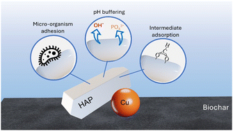 Interface properties of hydroxyapatite in ternary composites cathodes ...
