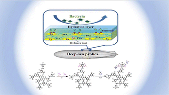 Construction of highly hydrated and mechanically strong anti-fouling ...