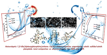 1,2-Bis-(diphenylphosphino)ethane (dppe) appended cobalt(iii ...