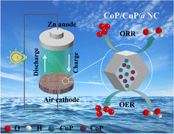 MOF-derived CoP/CuP hybrids as bifunctional electrocatalysts for zinc ...