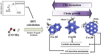Determining the hydrocarbon chain growth pathway in Fischer–Tropsch ...