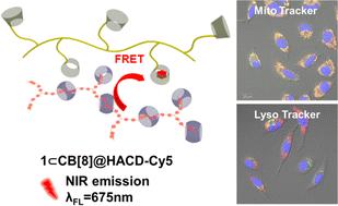 Cucurbit[8]uril-mediated triphenylamine coumarin derivative cascade ...