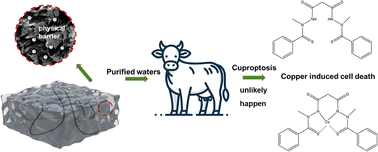 Synthesis of N-GQDs/CuS/Cv-CNNs hydrogels and their performance in ...