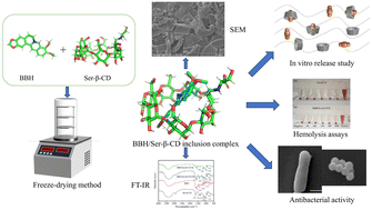 Inclusion complex of berberine hydrochloride with serine-β-cyclodextrin ...