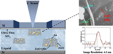 High resolution observation of a noble-metal/ZnO-QDs/rGO ternary system ...