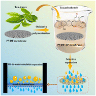 Simple temperature-regulated polymerization for the fabrication of a ...