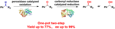 Enantiocomplementary C–H bond hydroxylation through a dual-enzyme ...