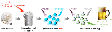 Highly fluorescent fish scale-derived carbon dots for quercetin sensing ...