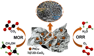 An ultra-thin 2D-CeO2 non-carbon support for significantly improving ...