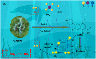 The composite metal cluster catalyst Ni–MCM enhances the non-radical ...