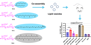 Synthesis of sulfated lactosyl glycosides for evaluation in vaccine ...