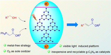 Visible light-induced recyclable porous g-C3N4 promoted one-pot alcohol ...