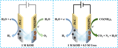 Enhanced oxygen evolution and urea oxidation reaction using a nanosheet ...
