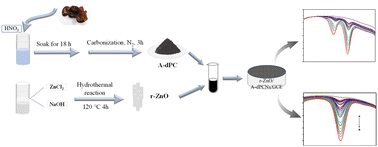 Preparation of rod-zinc oxide/agaric derived porous carbon ...