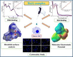 Synthesis, characterization, DNA/protein-binding study and anticancer activity of novel ...