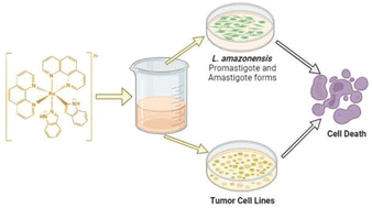 Investigating the reactivity and cellular interactions of indazole ...