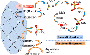 New insights into sulfite activation by amorphous Fe1−xNixS for RhB ...