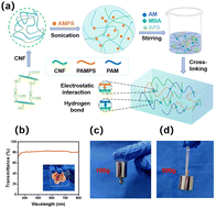A strong, stretchable, adhesive, conductive, transparent cellulose ...