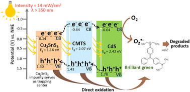 Visible-light-active type-II heterojunction CdS@Cu0.5Mg2.5SnS4 ...