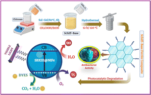 Smart chitosan Schiff base ferrite: a dual-action visible light ...