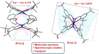 Neutral self-assembly of dinuclear copper(ii) metallacycles derived from Schiff base ligands ...
