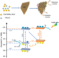 Heterojunctions of ZnS with Zn vacancies and hexagonal CdS pyramids for ...