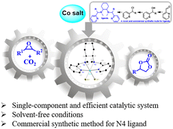 Cobalt complex with a tetradentate aminopyridine ligand: a single ...