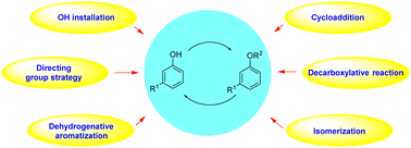 Strategies for synthesizing meta-substituted phenols and phenyl ethers ...